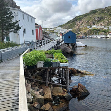 Updates to Cruising Guide to Newfoundland | Cruising Club of America